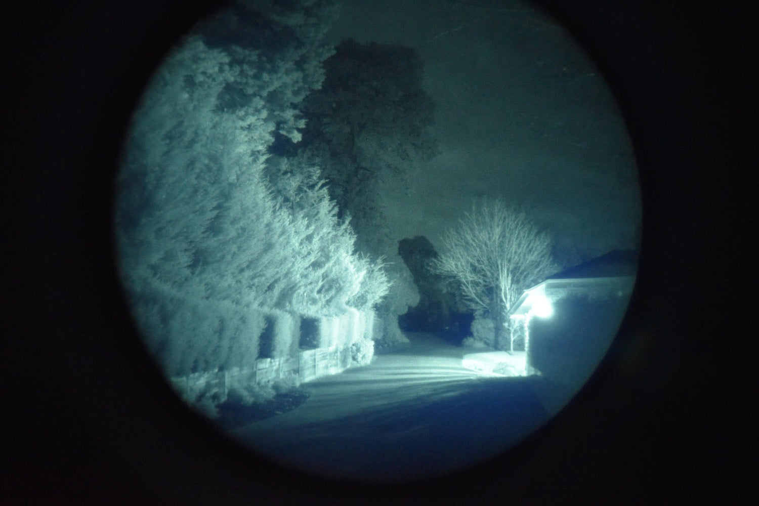 NNVT - Are they worth it? – TAS Night Corporation